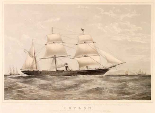 To the Peninsular and Oriental Steam Navigation Company… Iron Screw ...