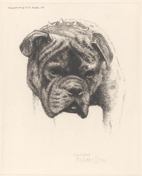 Champion Rodney Stone. | The Old Print Shop