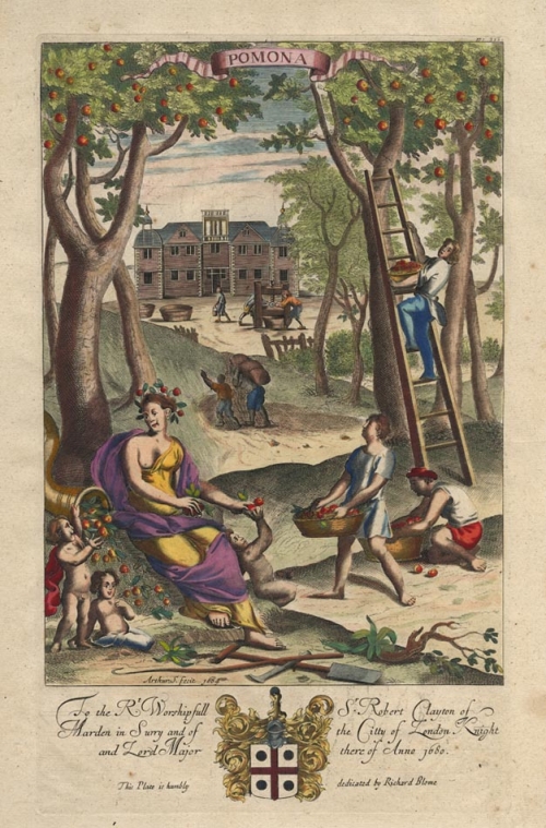 Pomona. P. 313. | The Old Print Shop